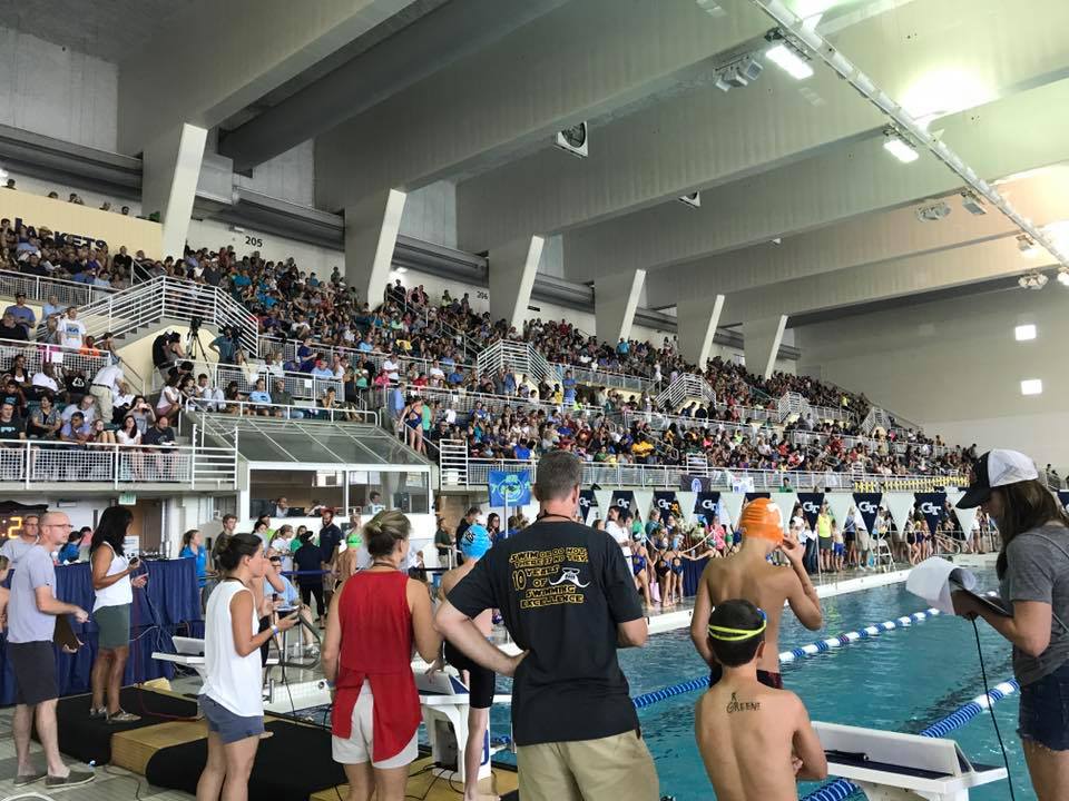 Summer Swim: Neighborhood pools and clubs create pop-up swim teams ...