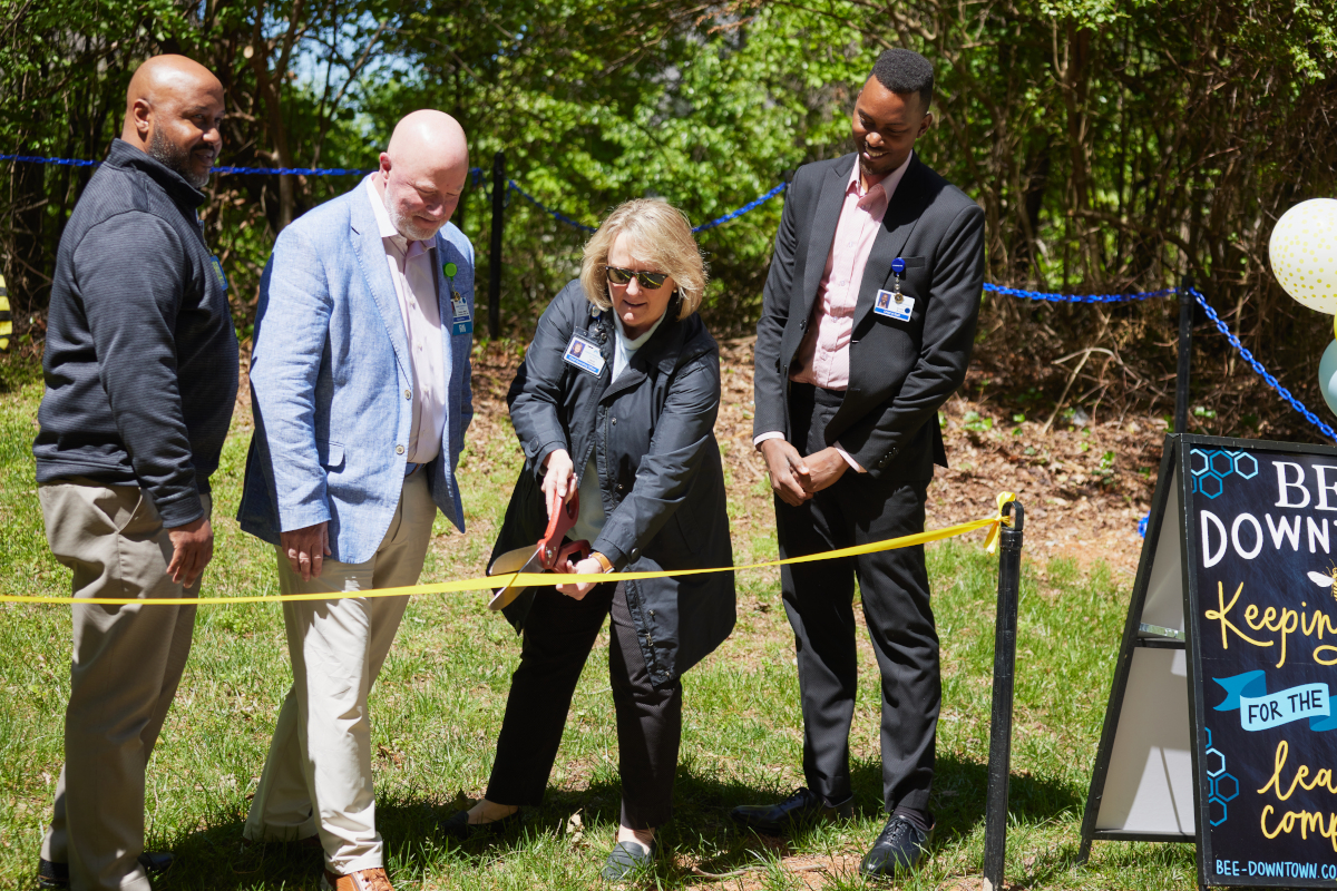 Bee Downtown brings hives to Kaiser Permanente's Glenlake facility ...