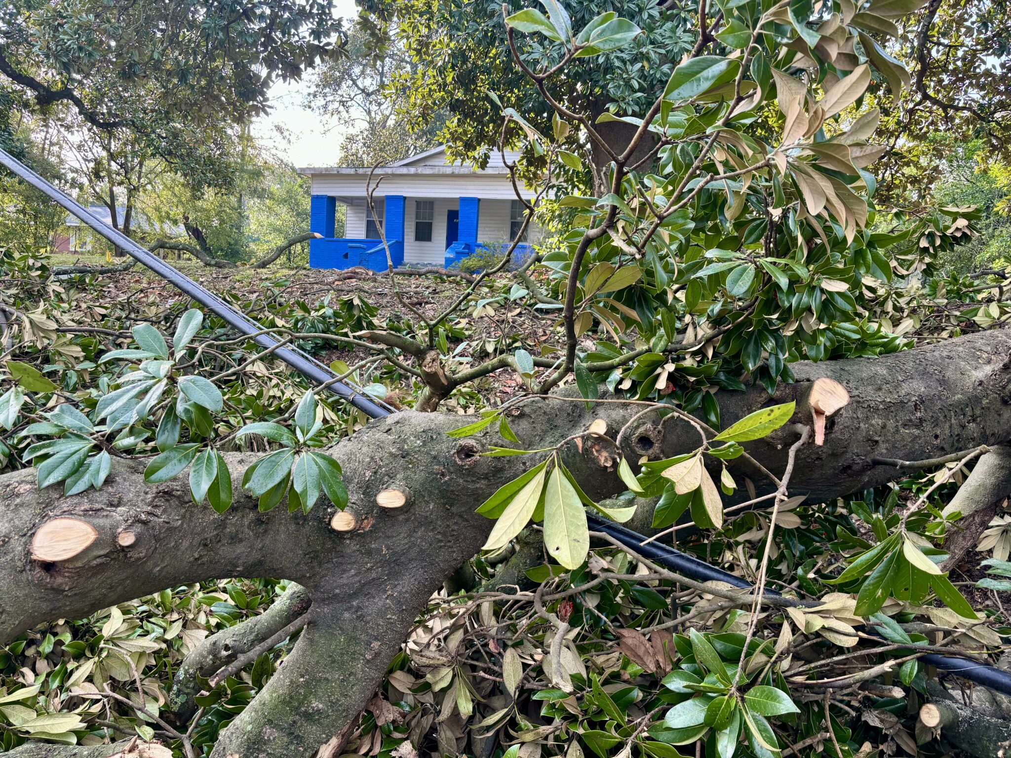 Kamala Harris visits Augusta, Georgia, post-Hurricane Helene - Rough ...