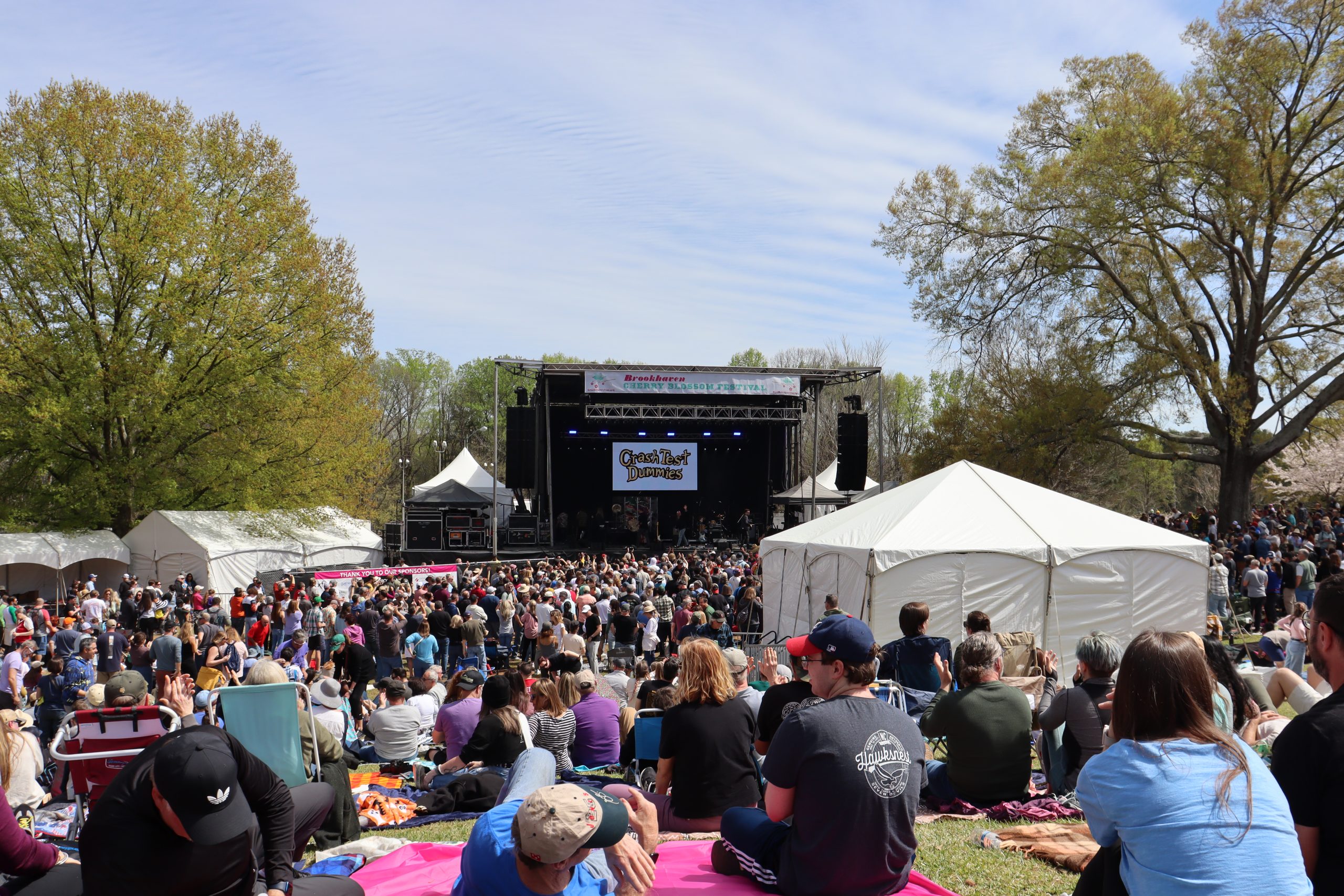 Brookhaven Parks: A Community's Hidden Gems - Rough Draft Atlanta